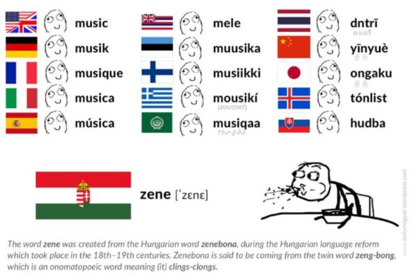 8 Reasons Why Budapest Is Your Best Study Destination