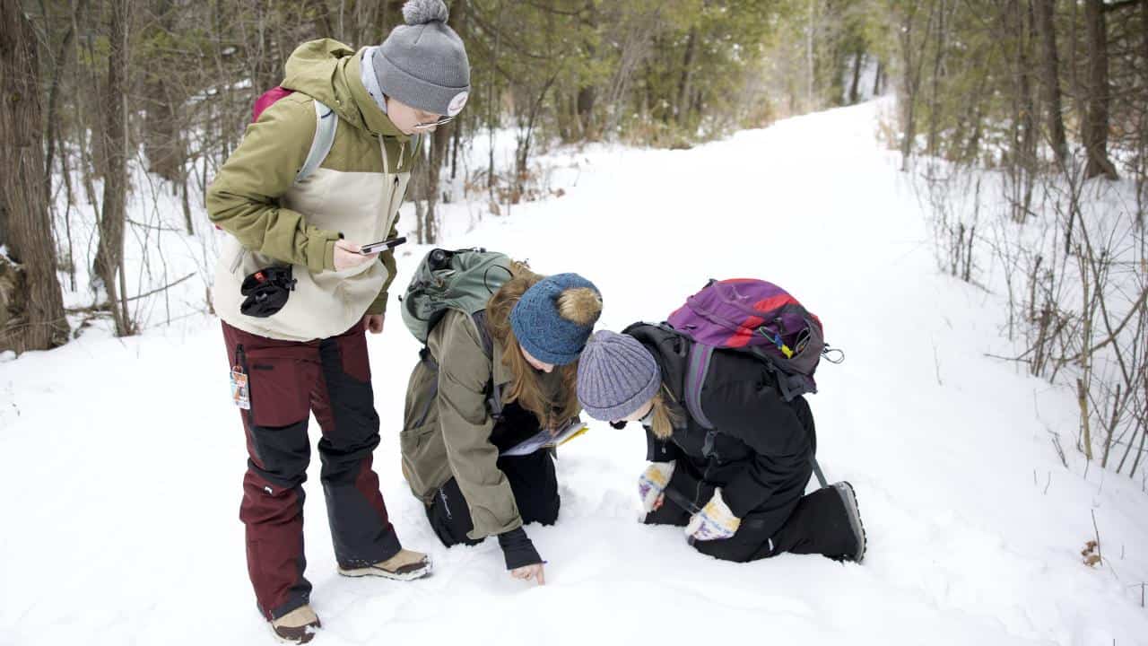 Explore Winter Wildlife Tracking and Environmental Stewardship at Trent
